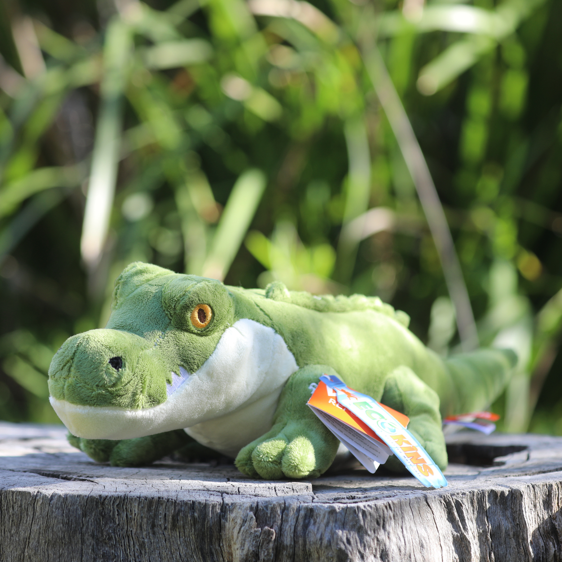Elvis the Crocodile Plushie - Australian Reptile Park – Australian ...